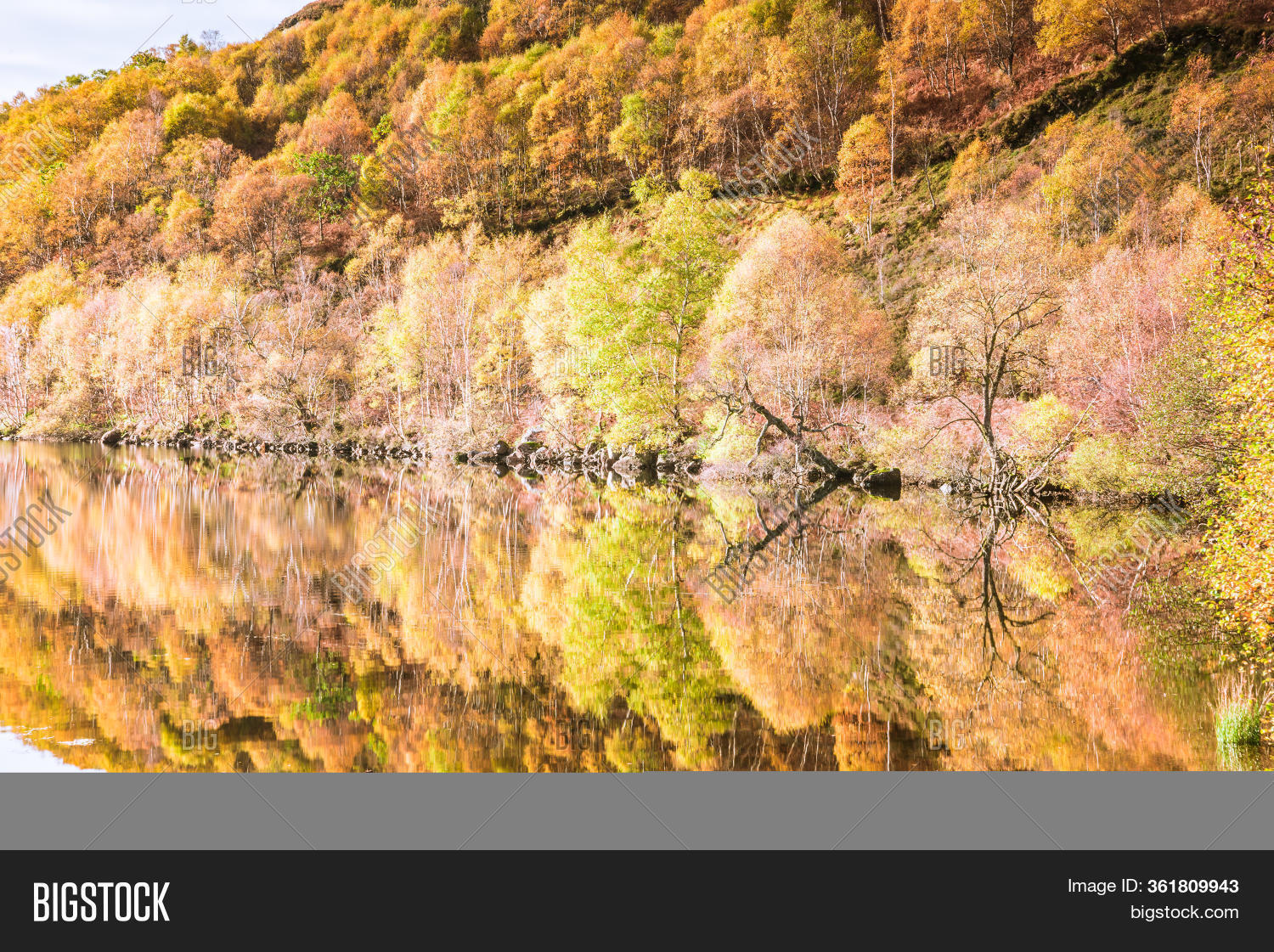 Autumn Colours Image & Photo (Free Trial) | Bigstock