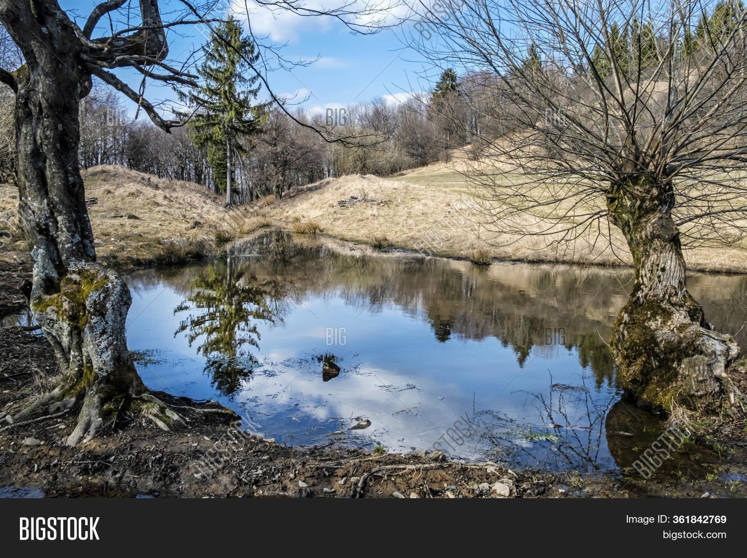 Small Lake Stiavnica Image & Photo (Free Trial) | Bigstock