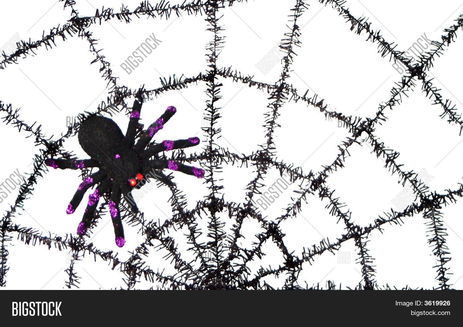 Black Spiderweb Image & Photo (Free Trial) | Bigstock