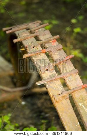 Rusty Bear Trap Image & Photo (Free Trial) | Bigstock
