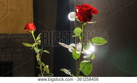 Close- Reflection Red Image & Photo (Free Trial) | Bigstock