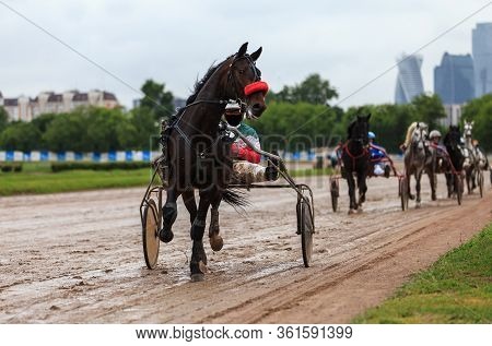 Racetrack Horse Racing Image & Photo (Free Trial) | Bigstock
