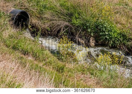 Small Stream Water Image & Photo (Free Trial) | Bigstock