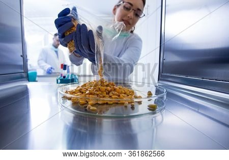 Agronomist Testing Image & Photo (Free Trial) | Bigstock
