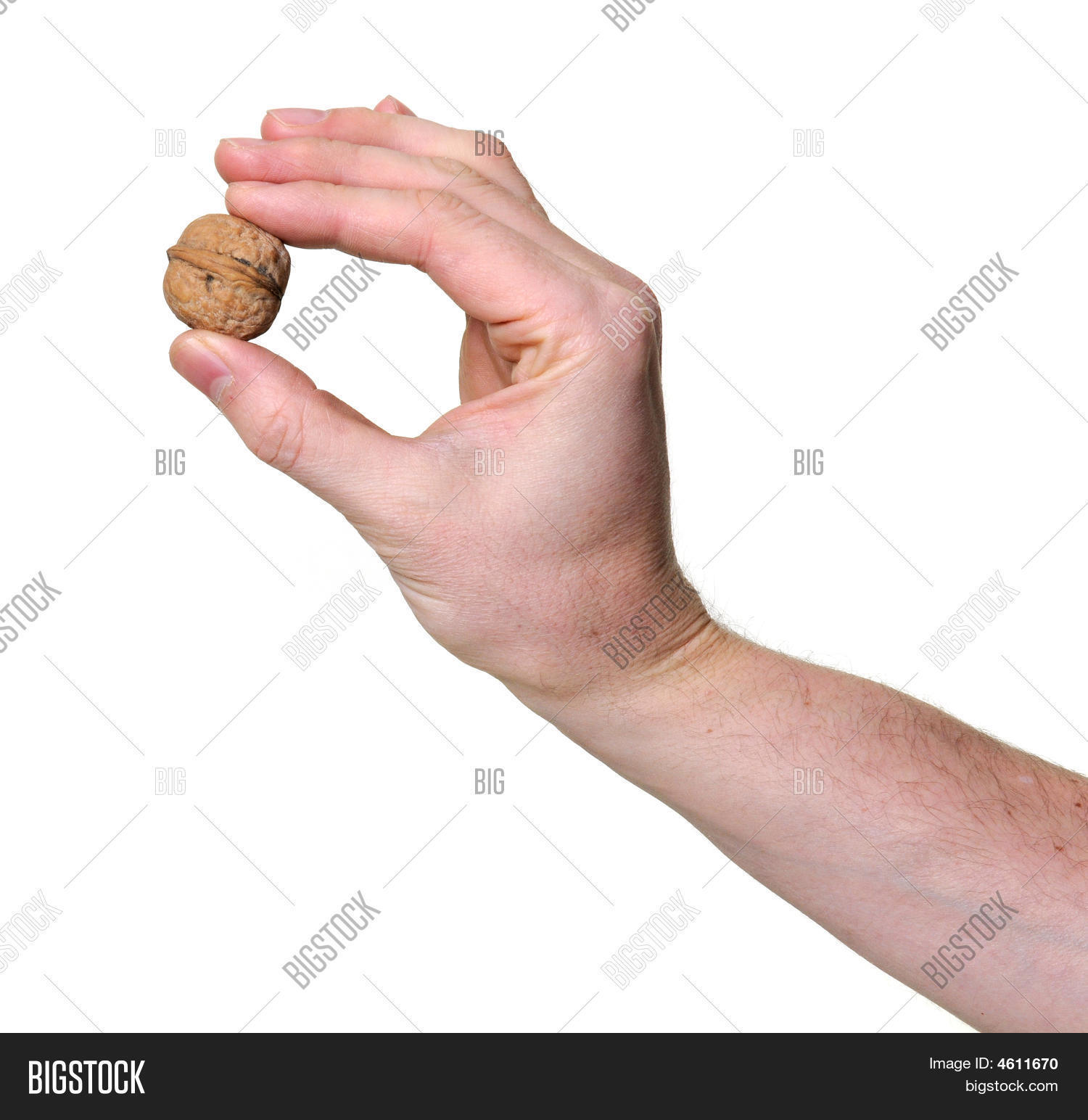 Hand Holding Walnut Image & Photo (Free Trial) | Bigstock