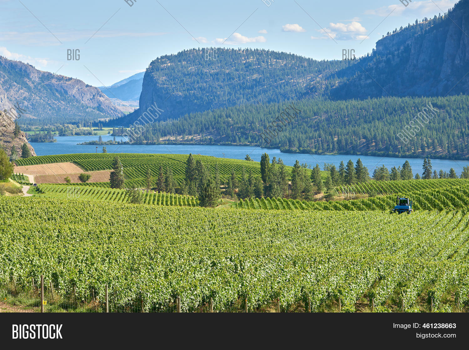 Straddle Tractor Image & Photo (Free Trial) | Bigstock
