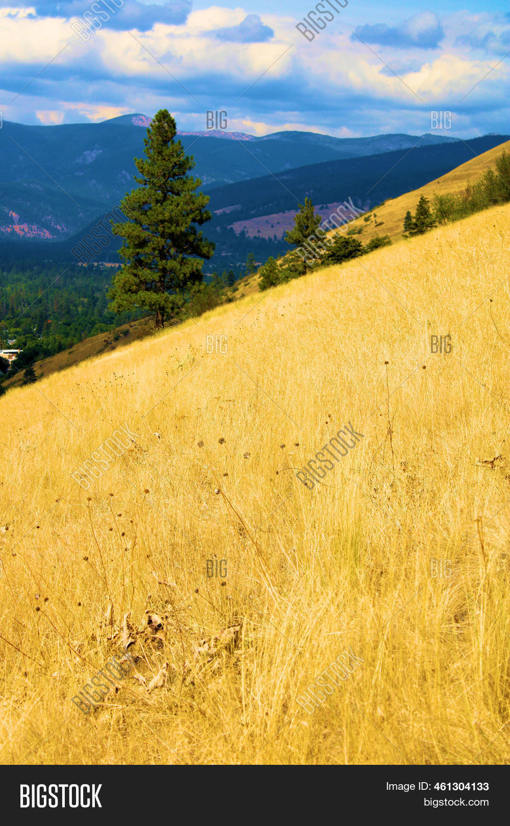 Arid Grasslands On Image & Photo (Free Trial) | Bigstock