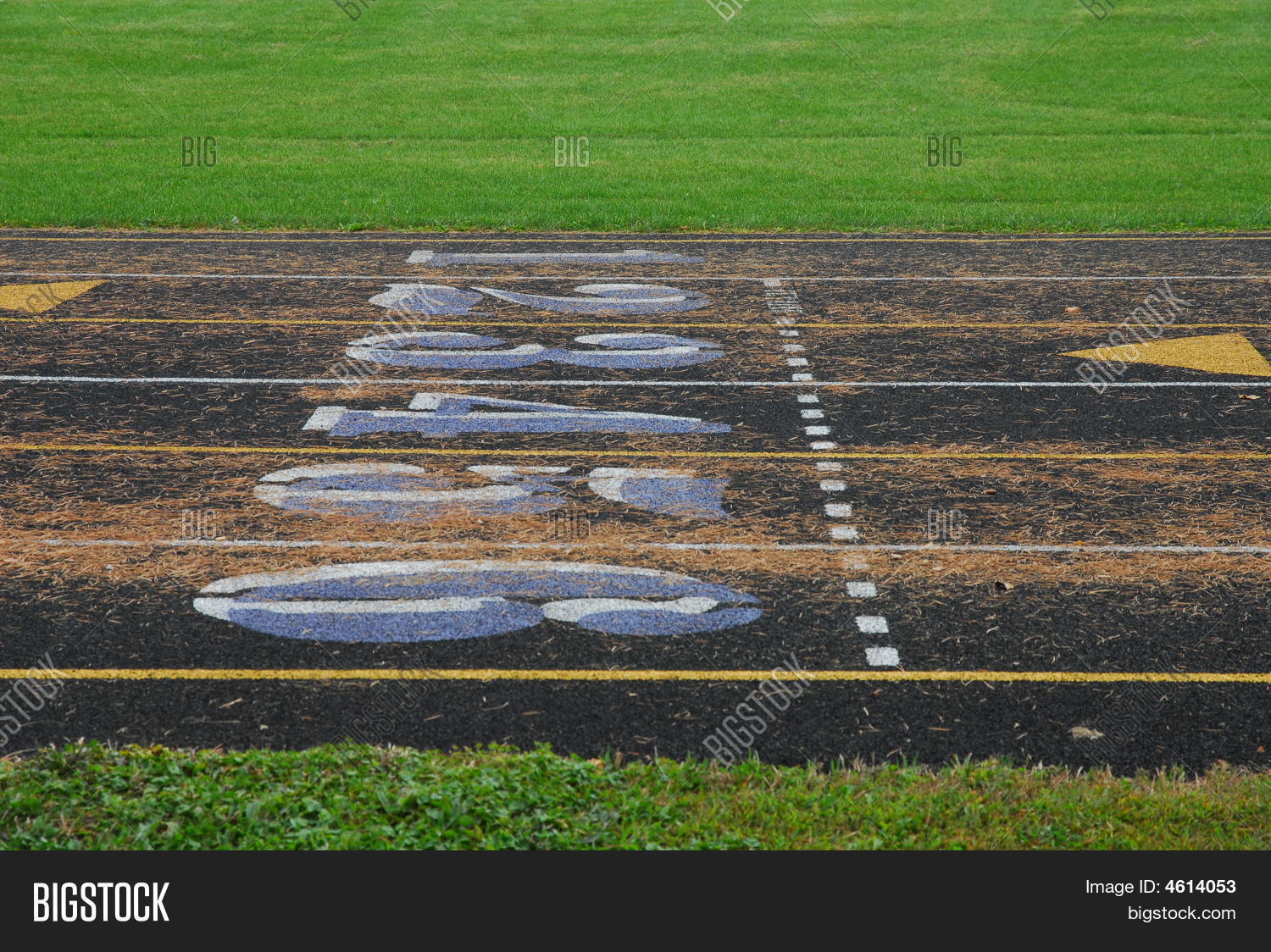 Finish Line Image & Photo (Free Trial) | Bigstock