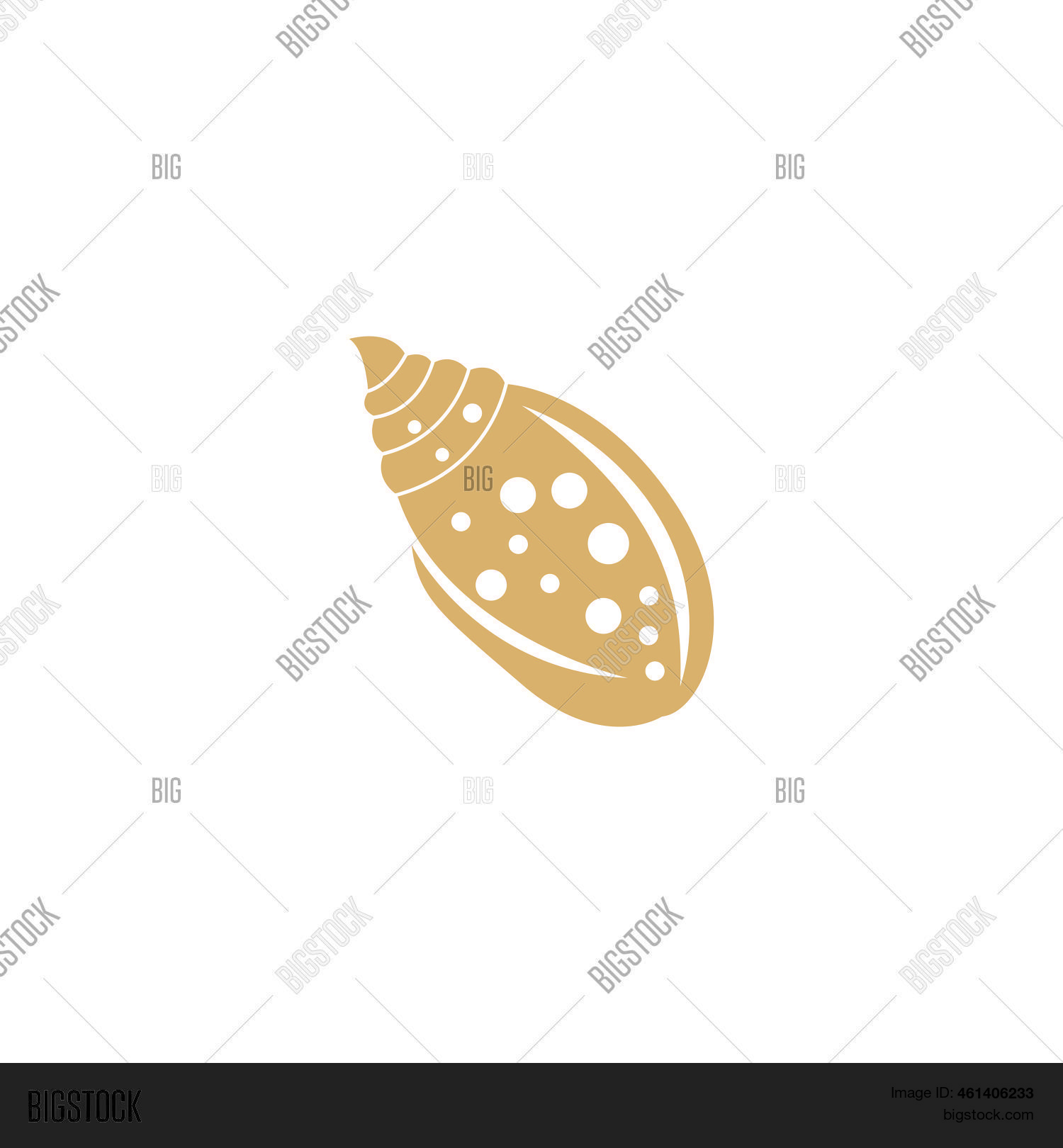 Beautiful Shell Icon Vector & Photo (Free Trial) | Bigstock