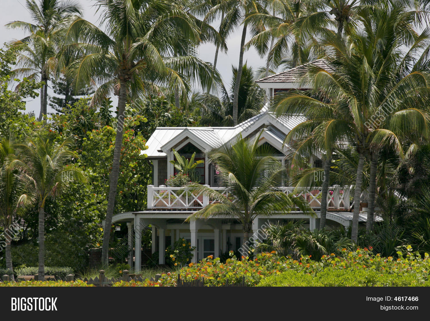 Tropical Beach House Image & Photo (Free Trial) | Bigstock