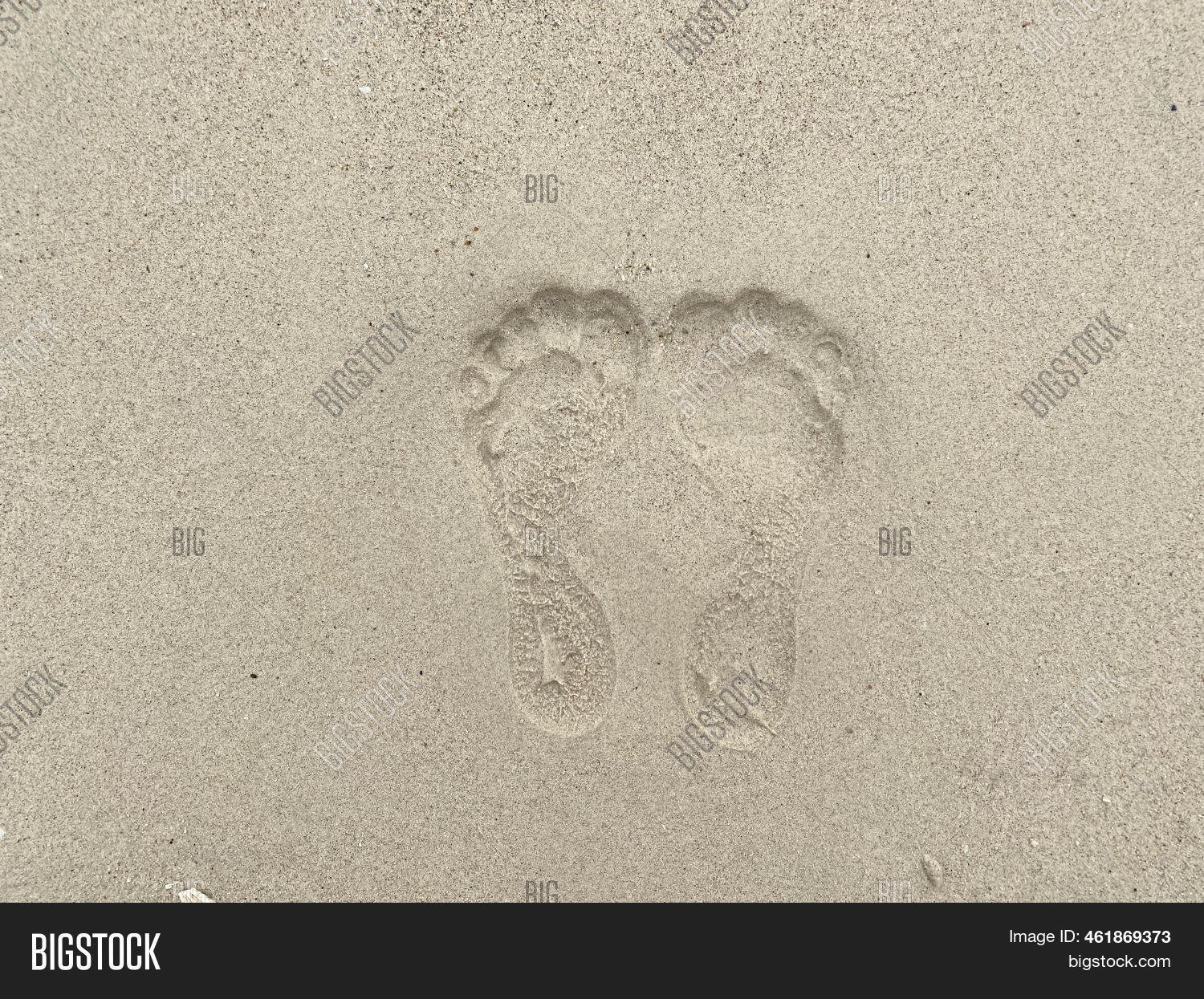 Woman Footprint Stamp Image & Photo (Free Trial) | Bigstock