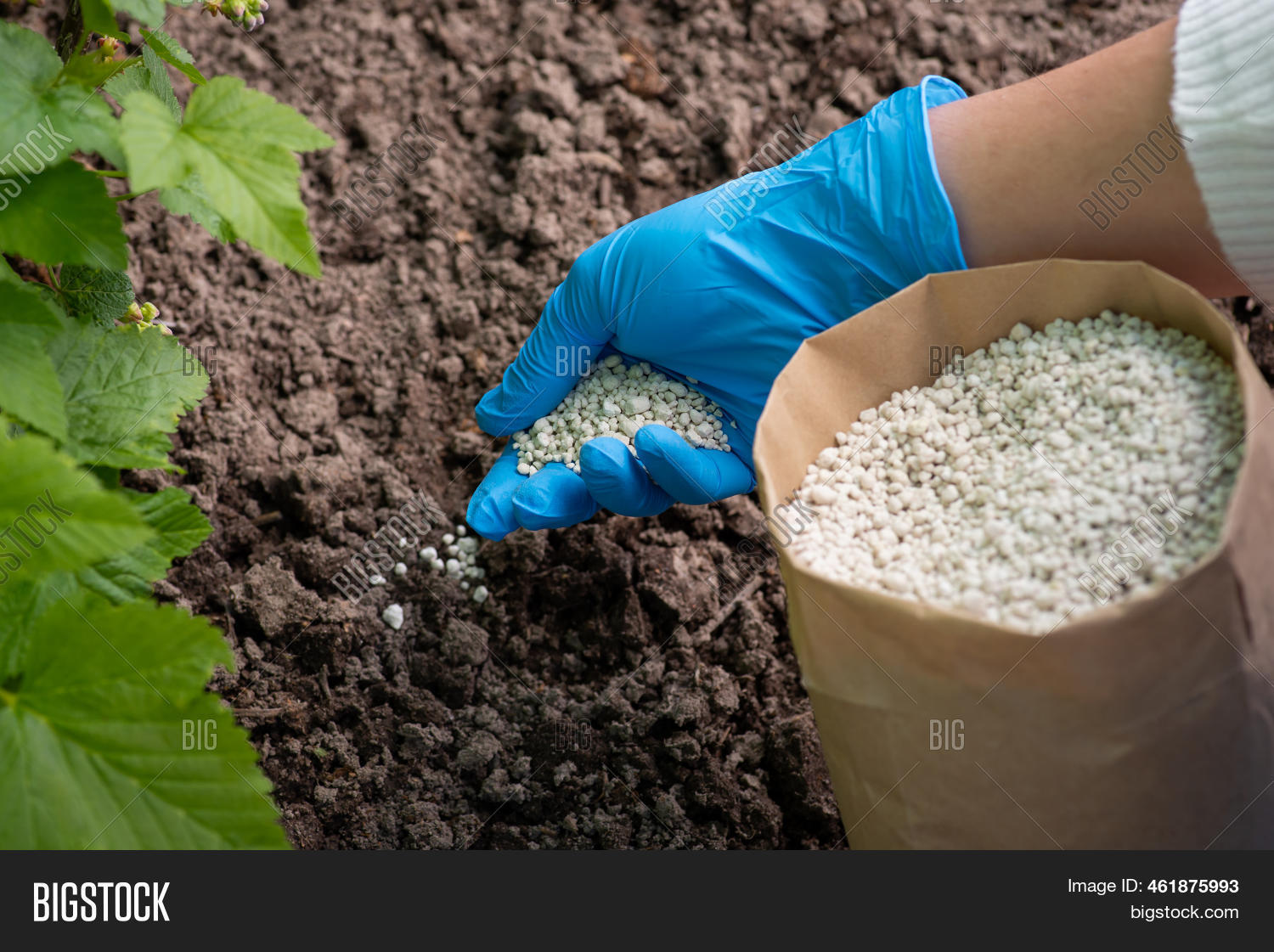 Gardener Fertilizing Image & Photo (Free Trial) | Bigstock