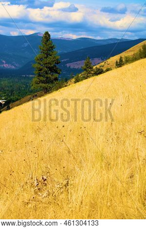Arid Grasslands On Image & Photo (Free Trial) | Bigstock