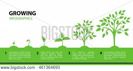 Infographic Growing Vector & Photo (Free Trial) | Bigstock
