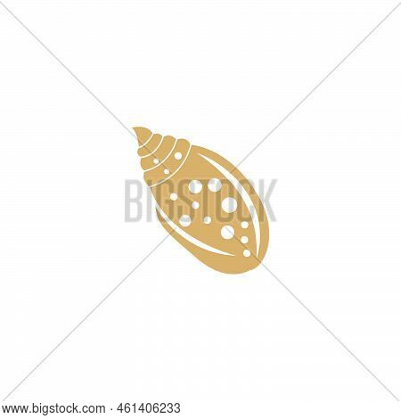 Beautiful Shell Icon Vector & Photo (Free Trial) | Bigstock