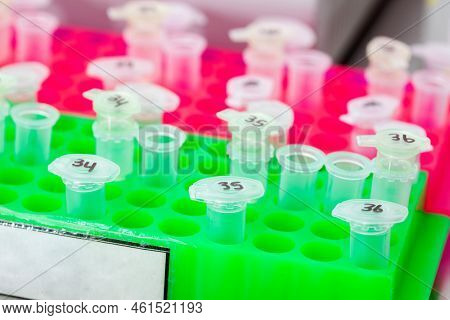 Rack Test Tubes Being Image & Photo (Free Trial) | Bigstock