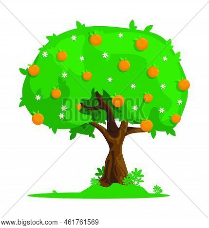 Cartoon Orange Tree Vector & Photo (Free Trial) | Bigstock