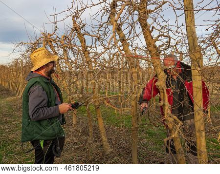 Young Farmer Pruning Image & Photo (Free Trial) | Bigstock