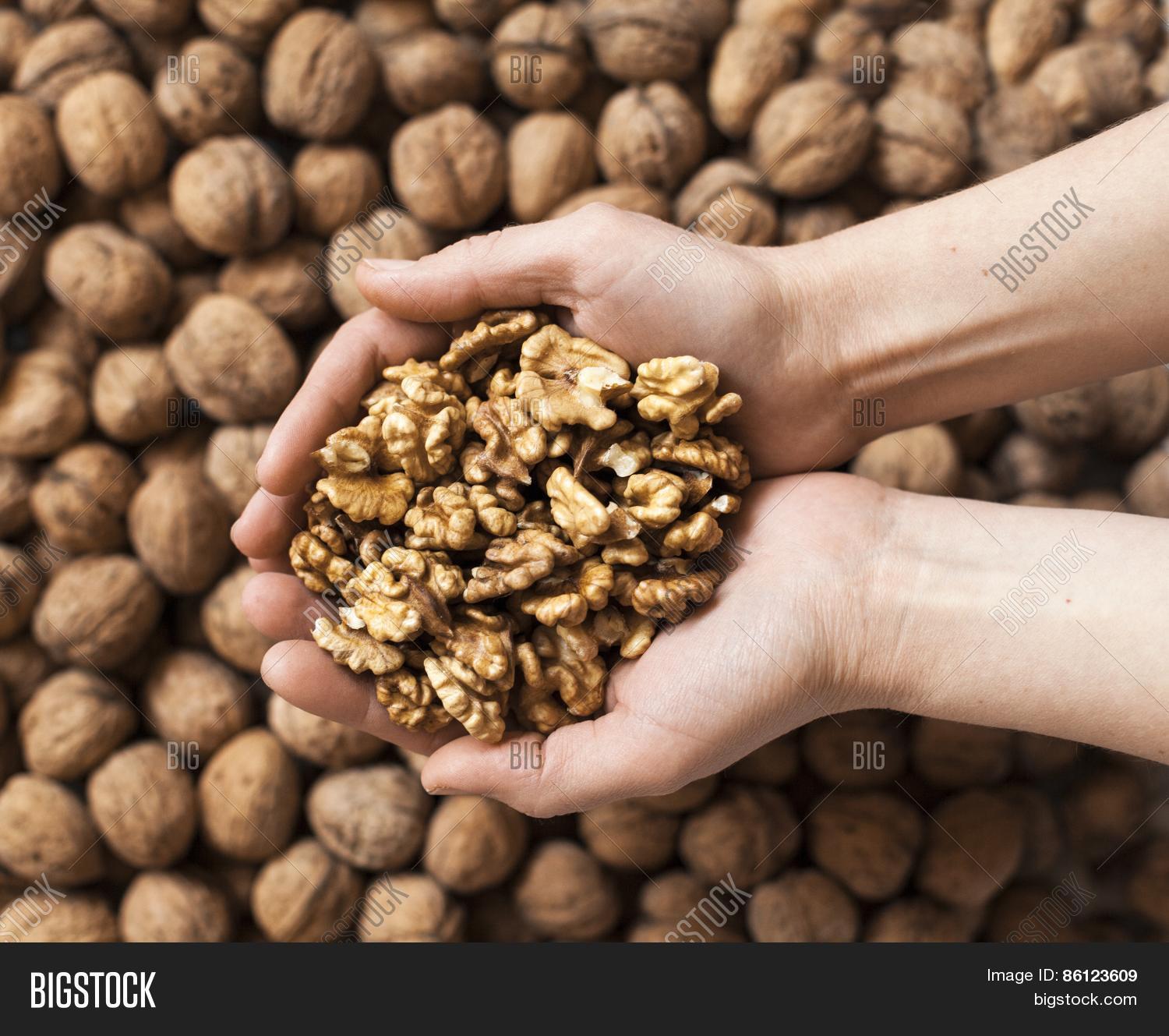 Handful Walnuts Image & Photo (Free Trial) | Bigstock