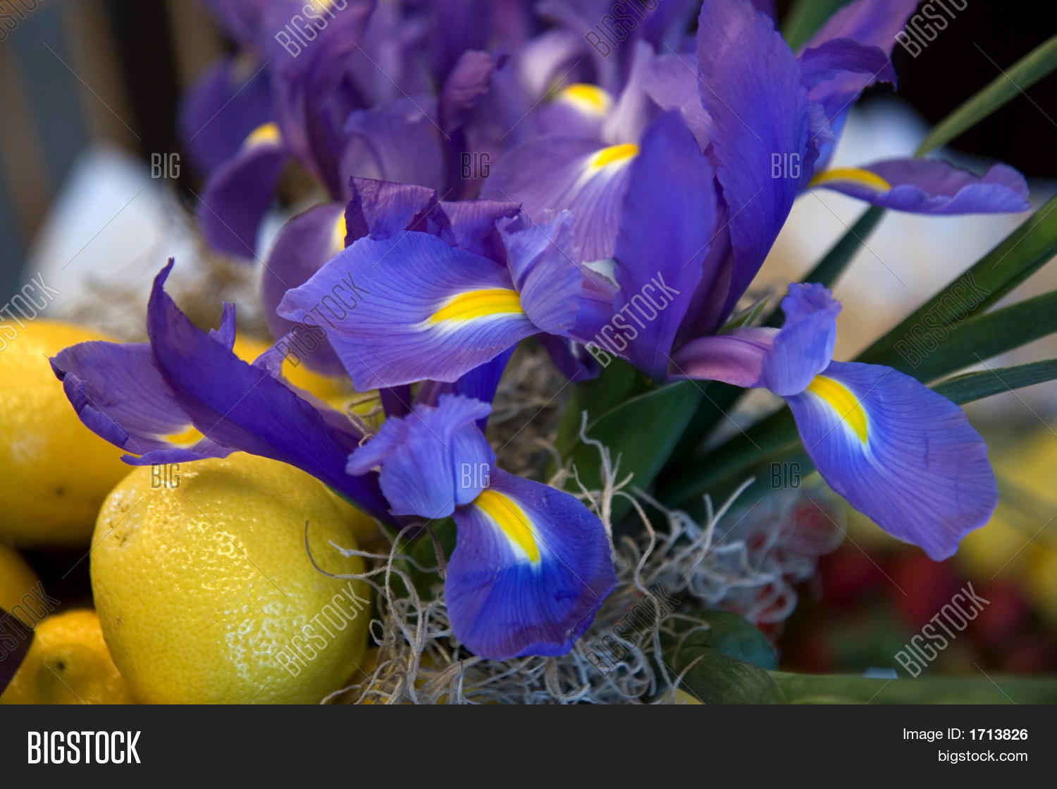 Iris Lemon Centerpiece Image & Photo (Free Trial) | Bigstock