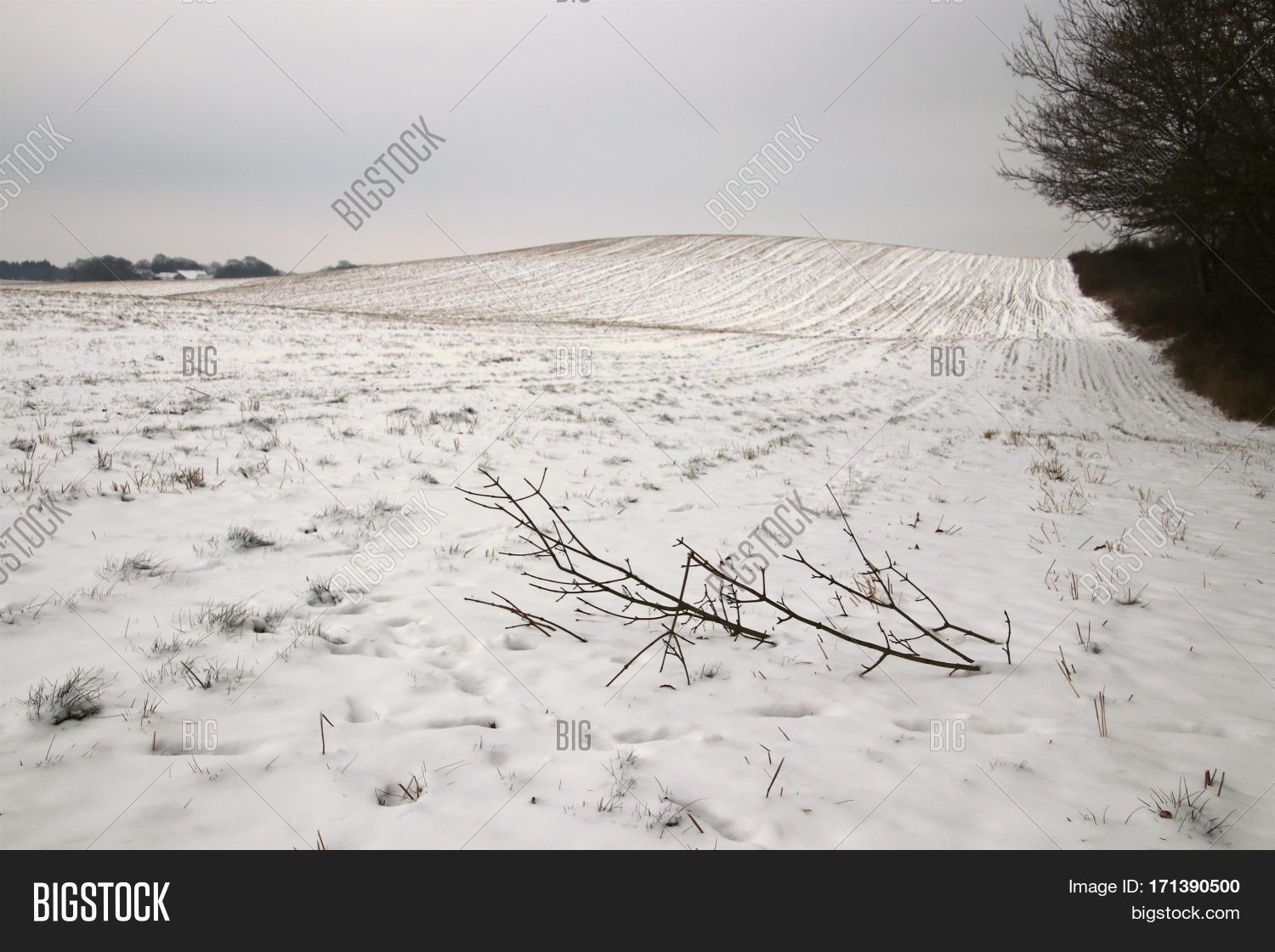 Hilly Terrain Fresh Image & Photo (Free Trial) | Bigstock