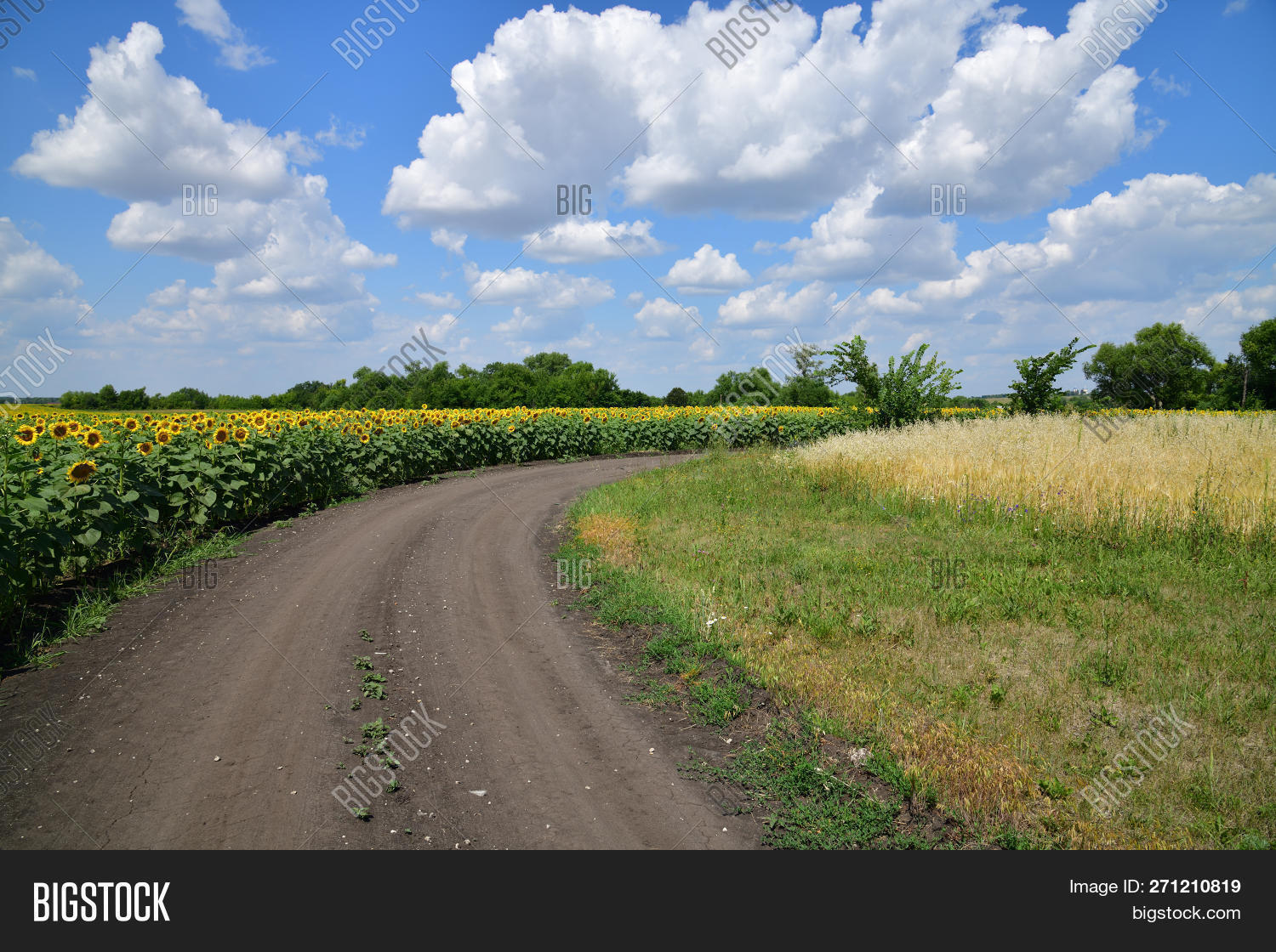 Road On Edge Field Image & Photo (Free Trial) | Bigstock