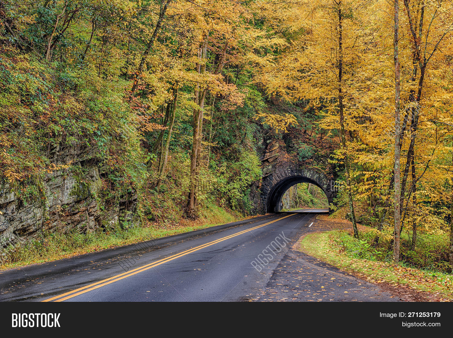 Horizontal Shot Autumn Image & Photo (Free Trial) | Bigstock