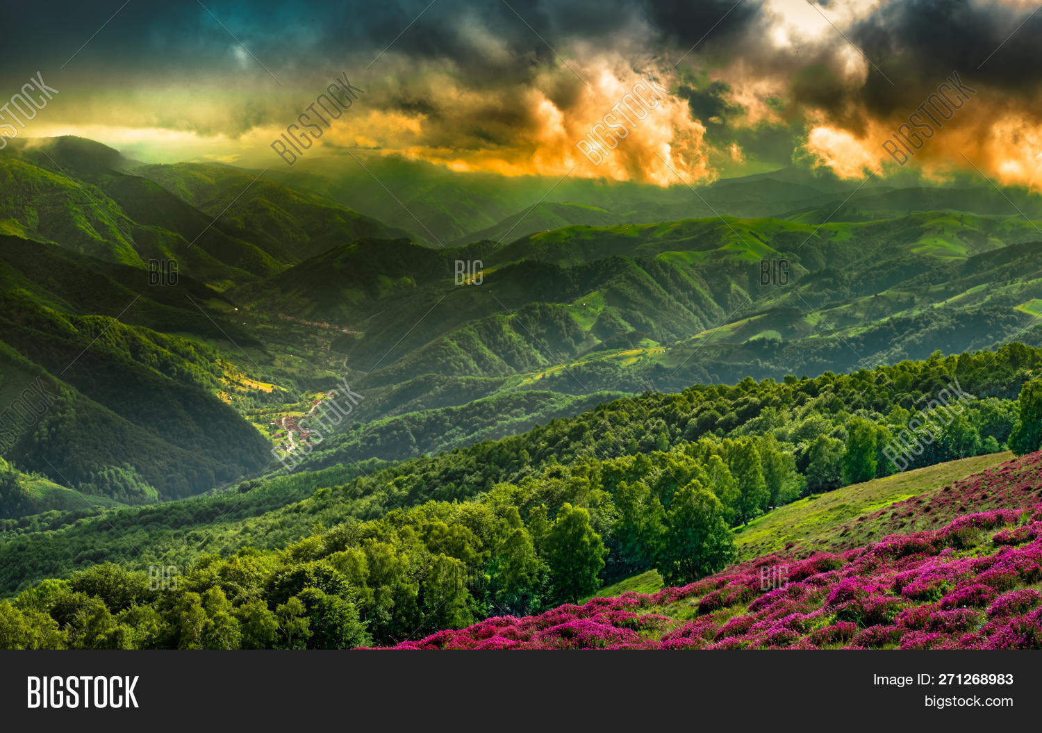 Panorama Over Rau Image & Photo (Free Trial) | Bigstock