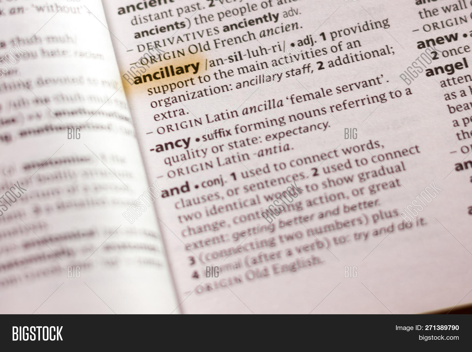 Word Phrase Ancillary Image & Photo (Free Trial) | Bigstock