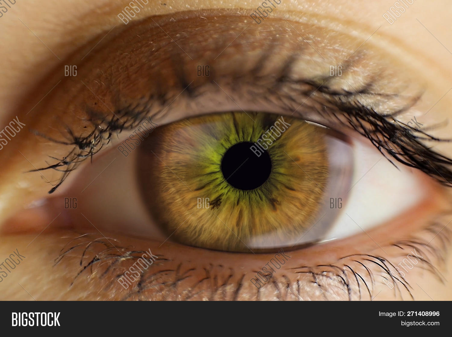 Human Female Eye Light Image & Photo (Free Trial) | Bigstock