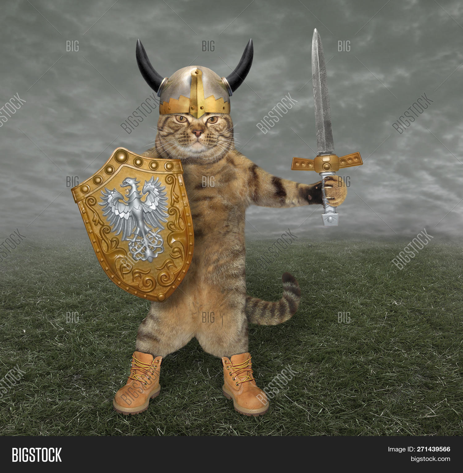 Cat Knight Helmet Image & Photo (Free Trial) | Bigstock