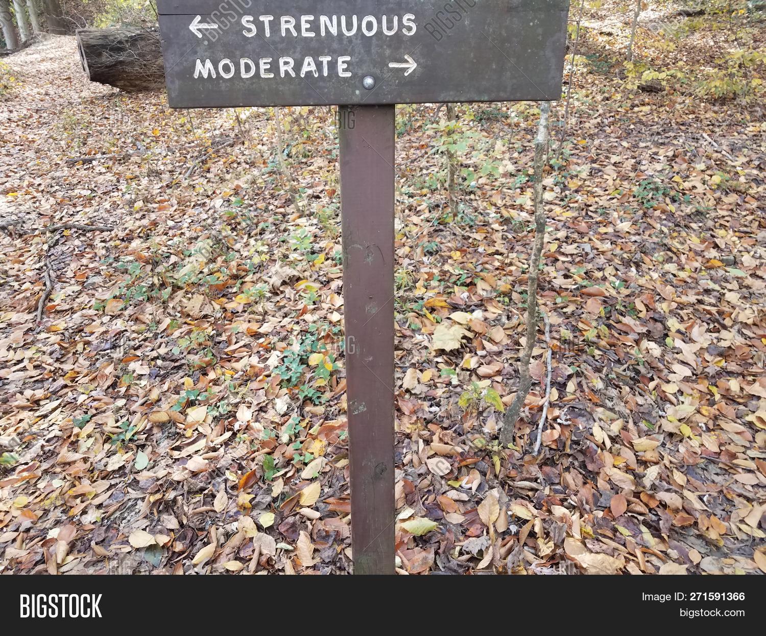 Wooden Strenuous Image & Photo (Free Trial) | Bigstock