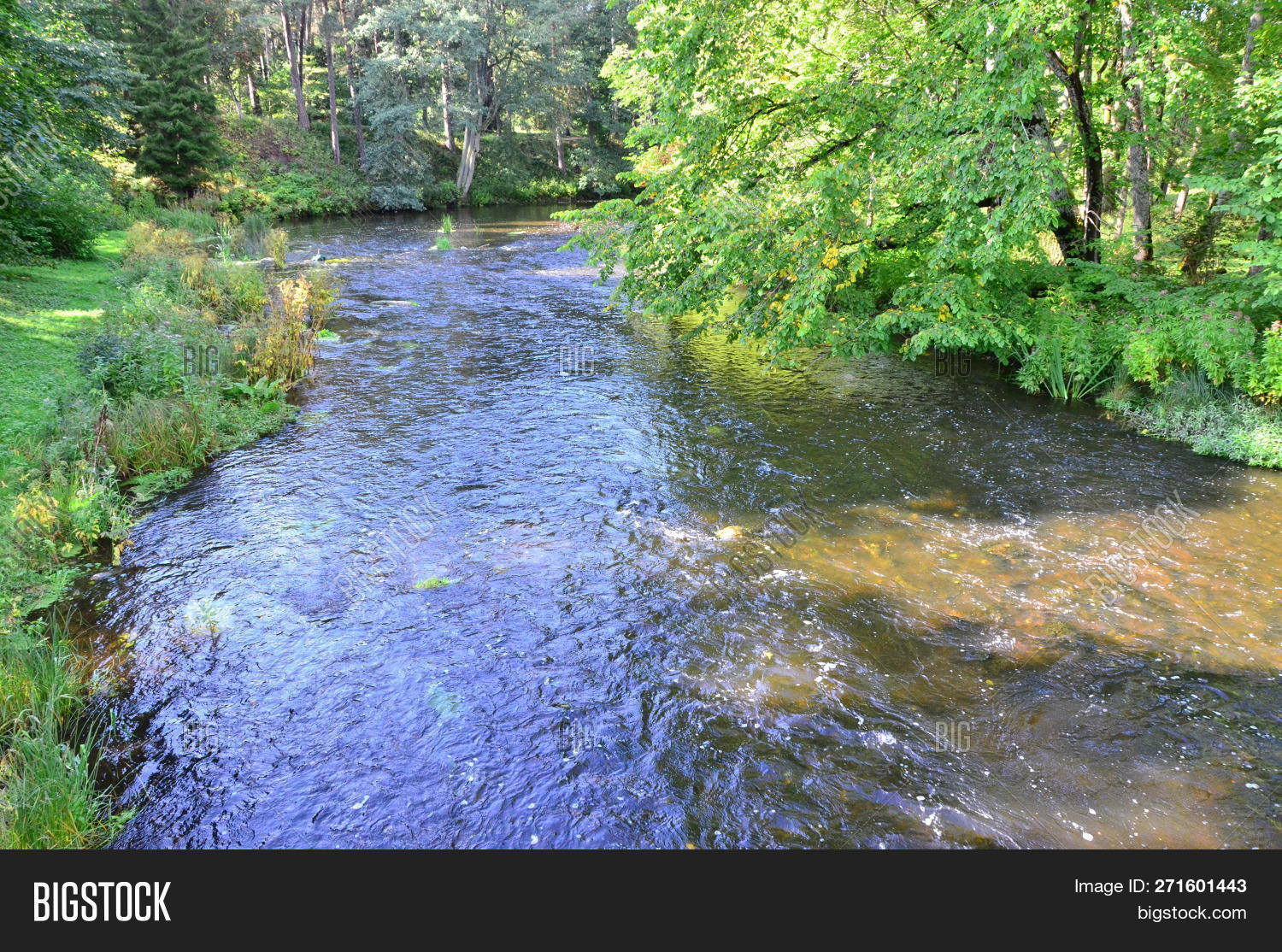 Fascinating Sight Image & Photo (Free Trial) | Bigstock