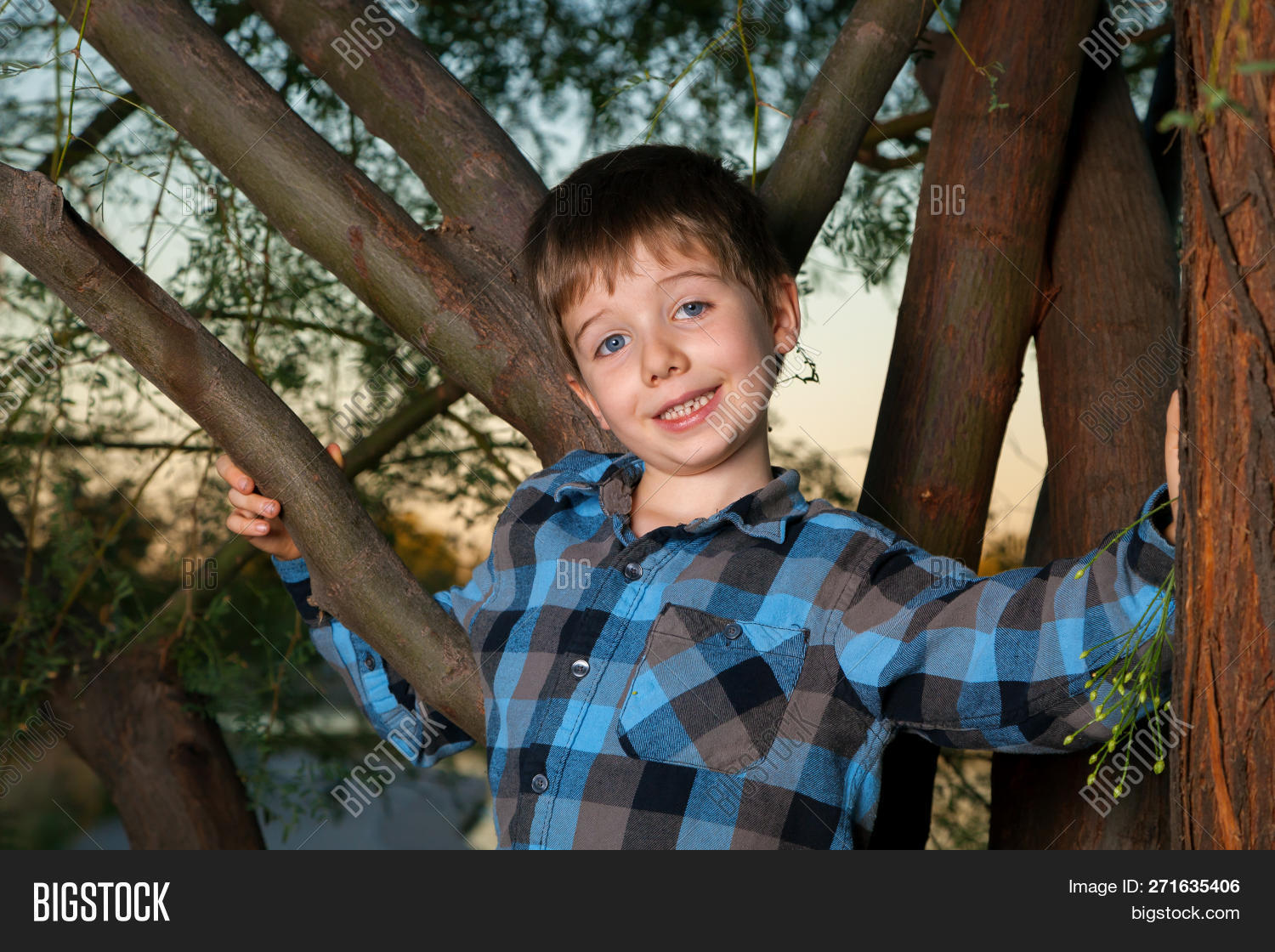 Young Boy Stands Tree Image & Photo (Free Trial) | Bigstock