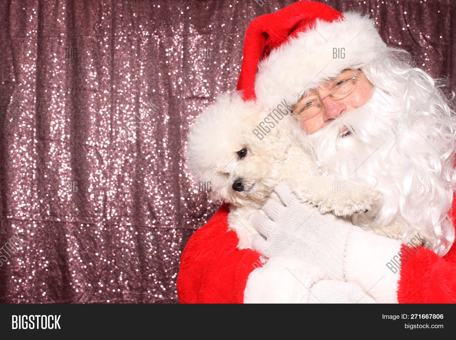 Santa Claus Dog. Santa Image & Photo (Free Trial) | Bigstock