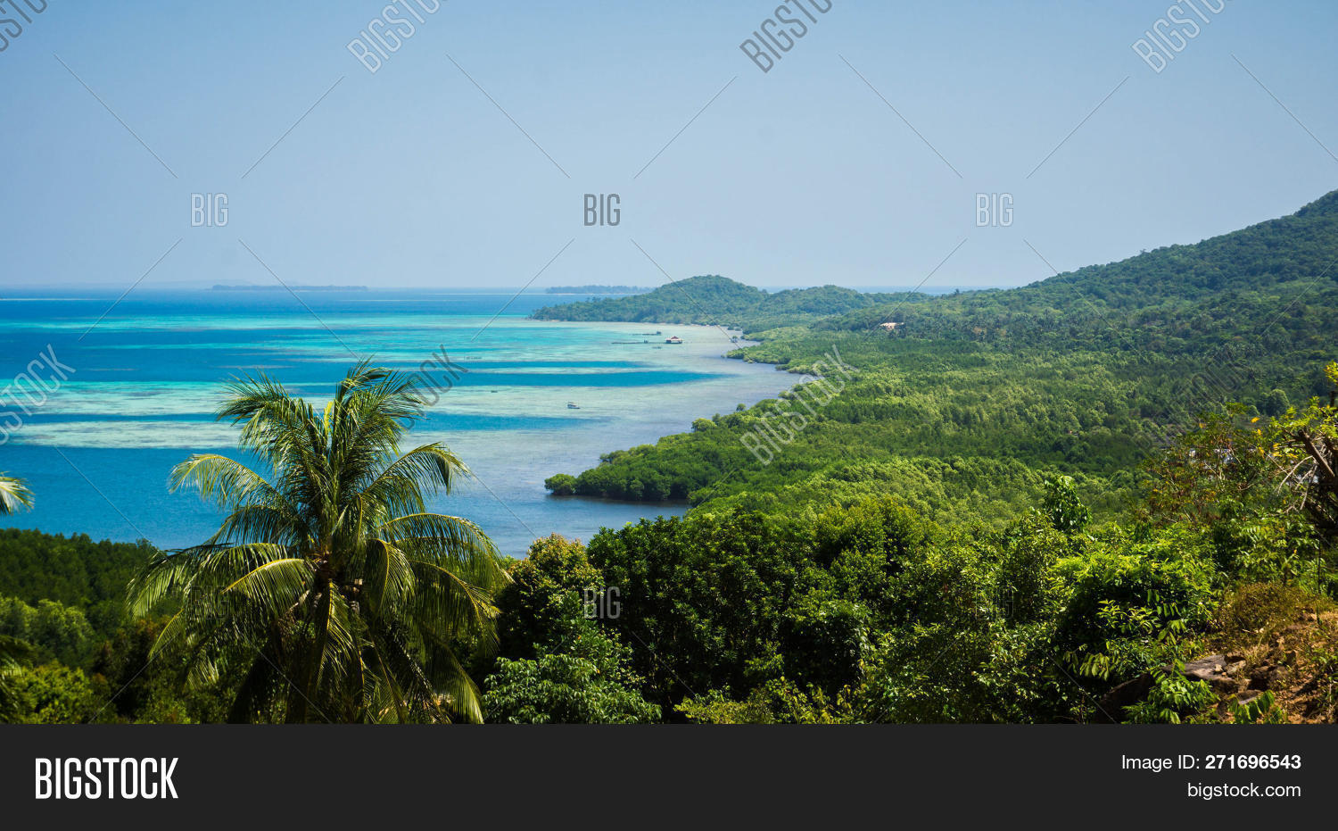 Sea Forest Aerial View Image & Photo (Free Trial) | Bigstock
