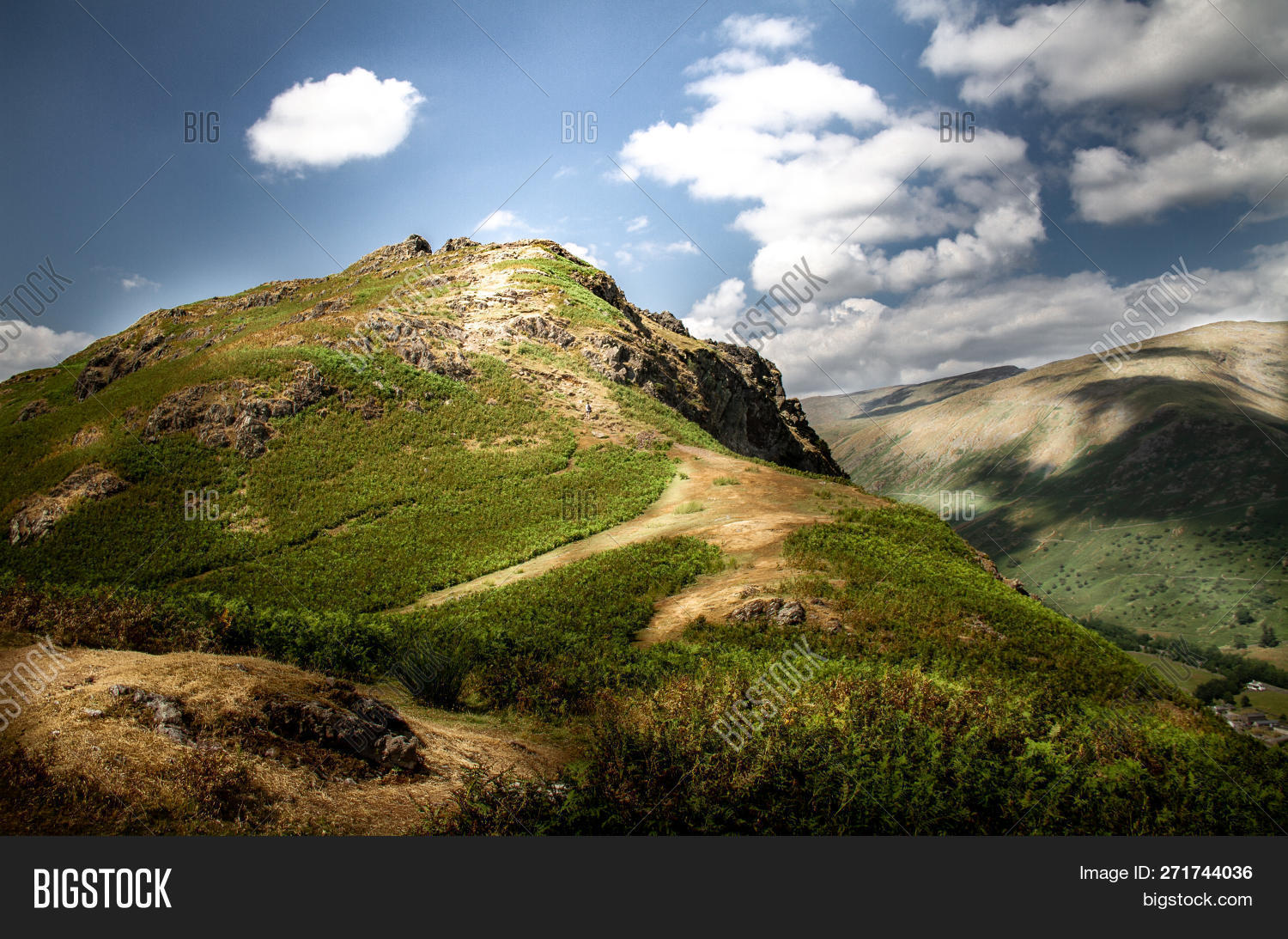 Beautiful Sun Dappled Image & Photo (Free Trial) | Bigstock