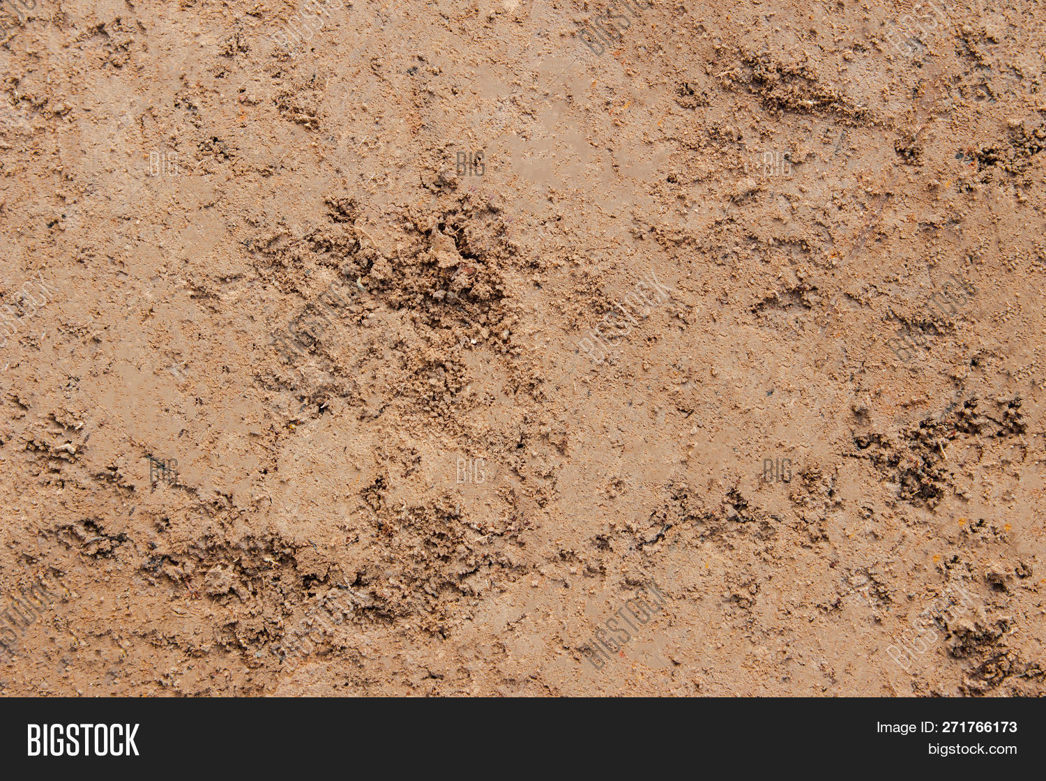 Texture Ground Image & Photo (Free Trial) | Bigstock