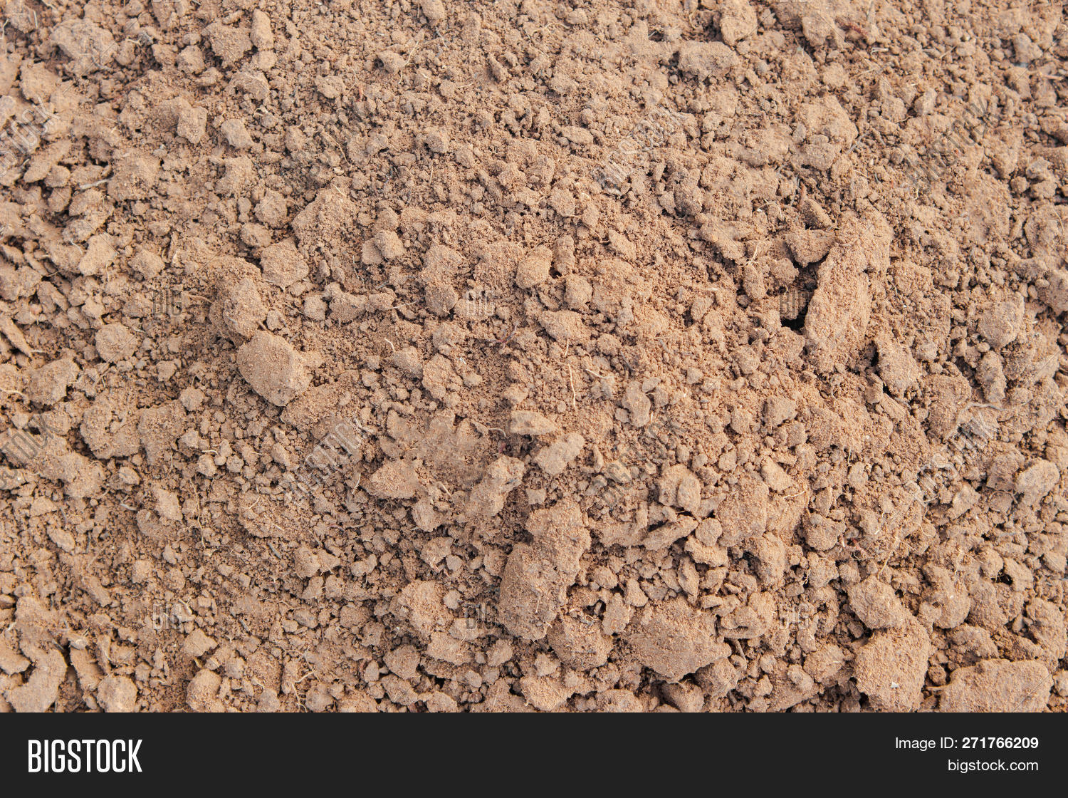 Texture Ground Image & Photo (Free Trial) | Bigstock