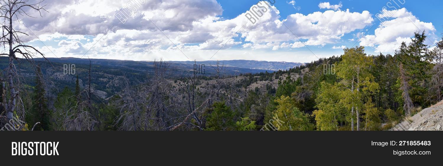 Late Summer Early Fall Image & Photo (Free Trial) | Bigstock