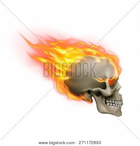 Skull On Fire Flames Vector & Photo (Free Trial) | Bigstock