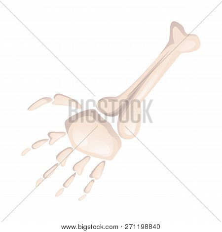 Skull Death Head Dead Vector & Photo (Free Trial) | Bigstock