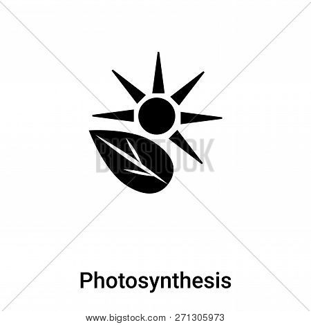 Photosynthesis Icon Vector & Photo (Free Trial) | Bigstock