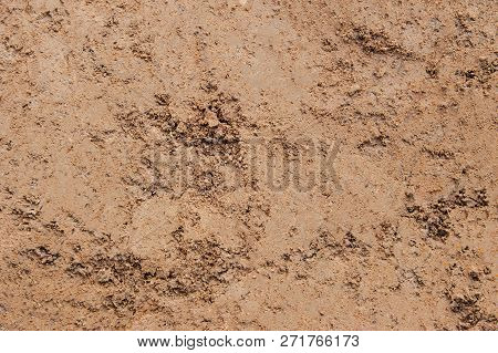 Texture Ground Image & Photo (Free Trial) | Bigstock