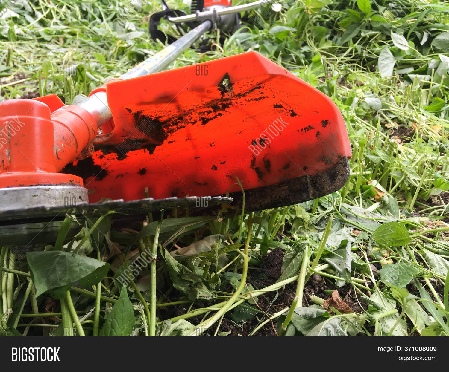 Red Lawn Mower Cutting Image & Photo (Free Trial) | Bigstock