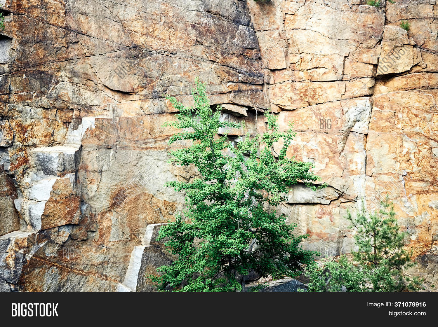 Rocks Green Wood. Image & Photo (Free Trial) | Bigstock