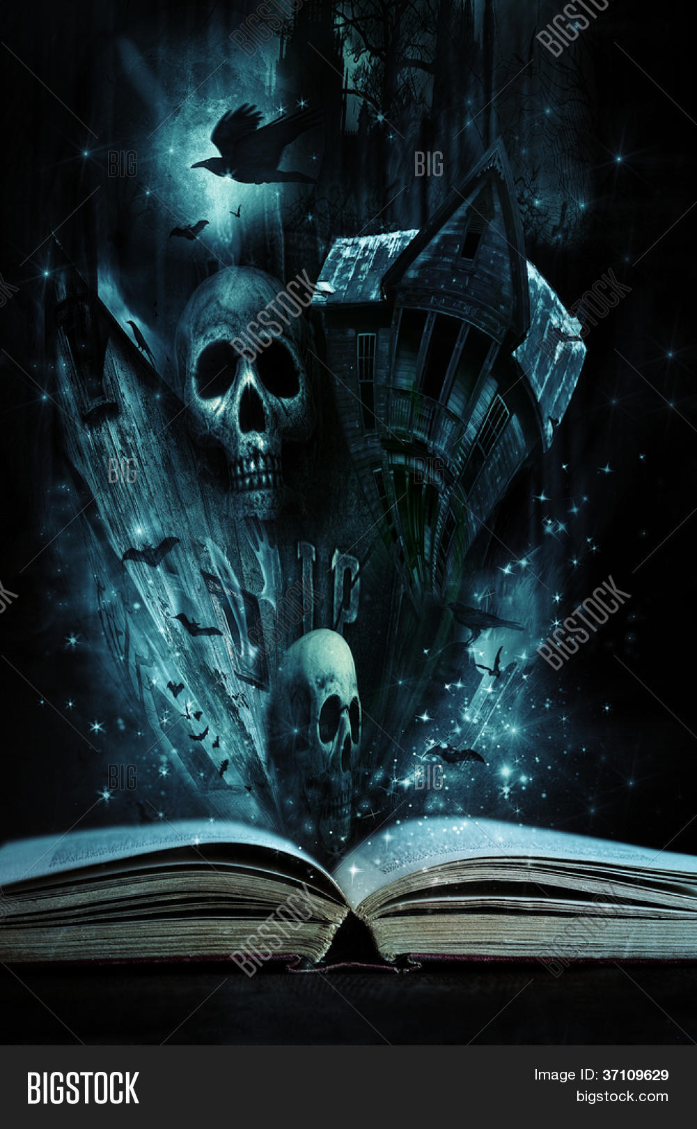 Open Story Book Image & Photo (Free Trial) | Bigstock