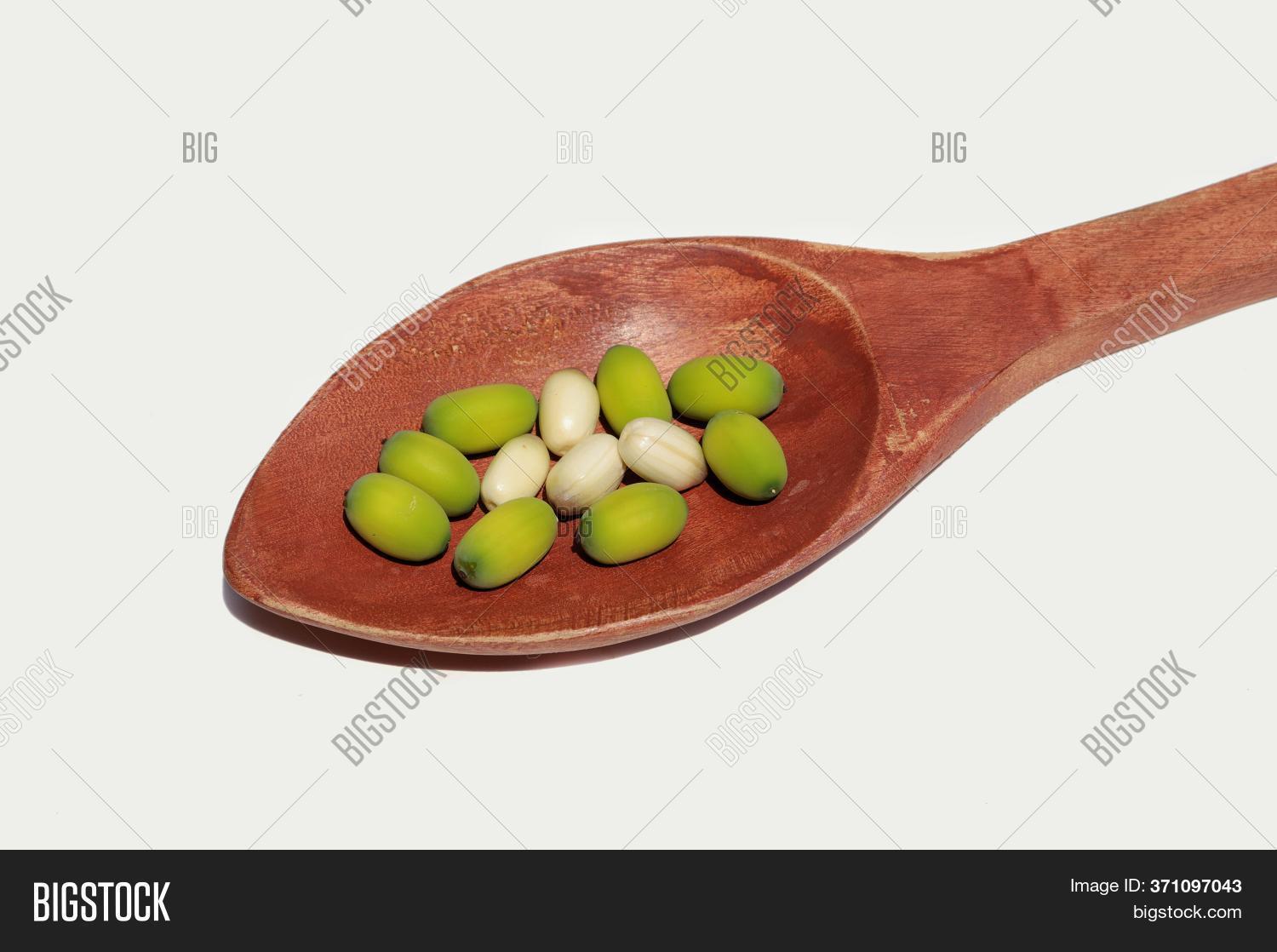 Indian Lotus Seeds Image & Photo (Free Trial) | Bigstock