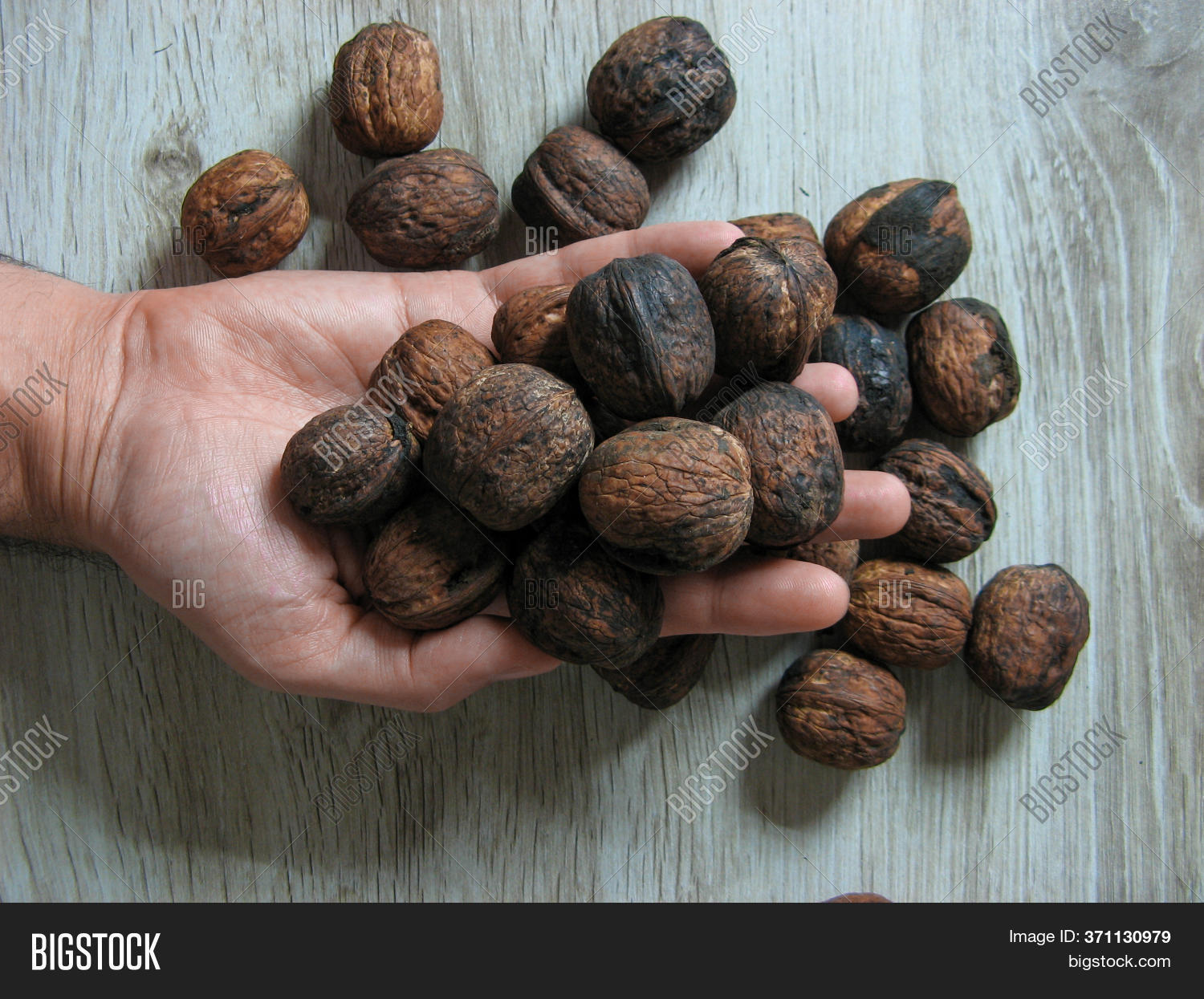 Male Hand Holding Image & Photo (Free Trial) | Bigstock