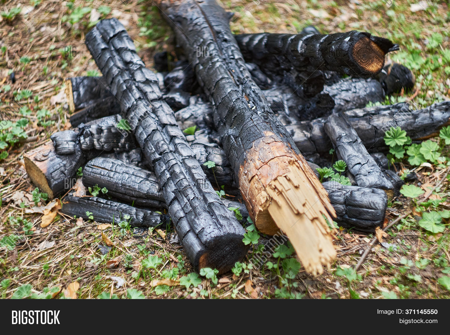 Pile Coal. Place Fire Image & Photo (Free Trial) | Bigstock